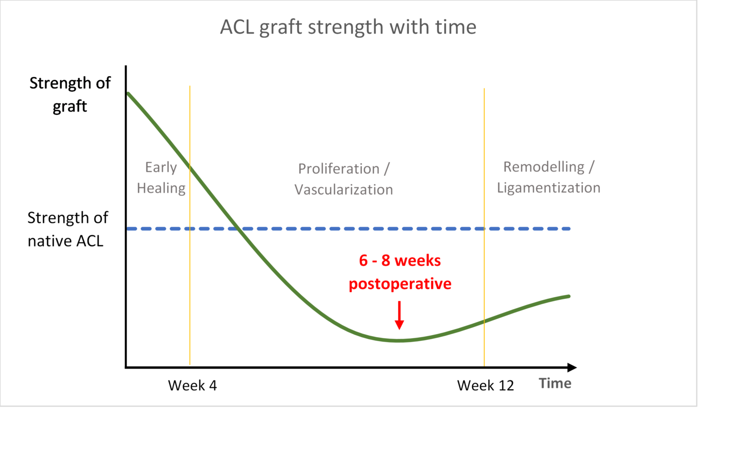 Phases of your Banff Sport Medicine Postoperative Rehabilitation ...