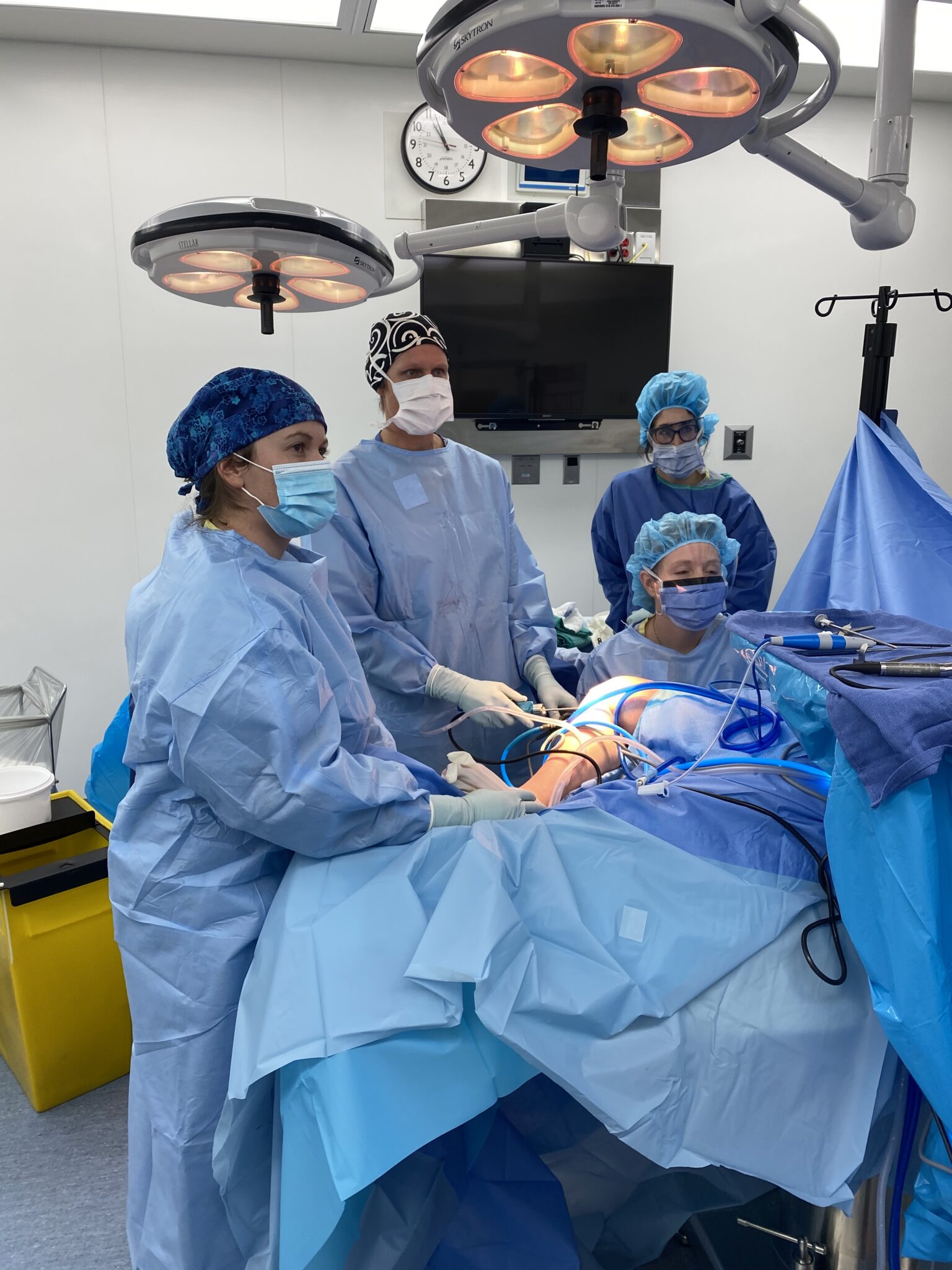 The Medial Patellofemoral Ligament (MPFL): The Basics - BSM Foundation